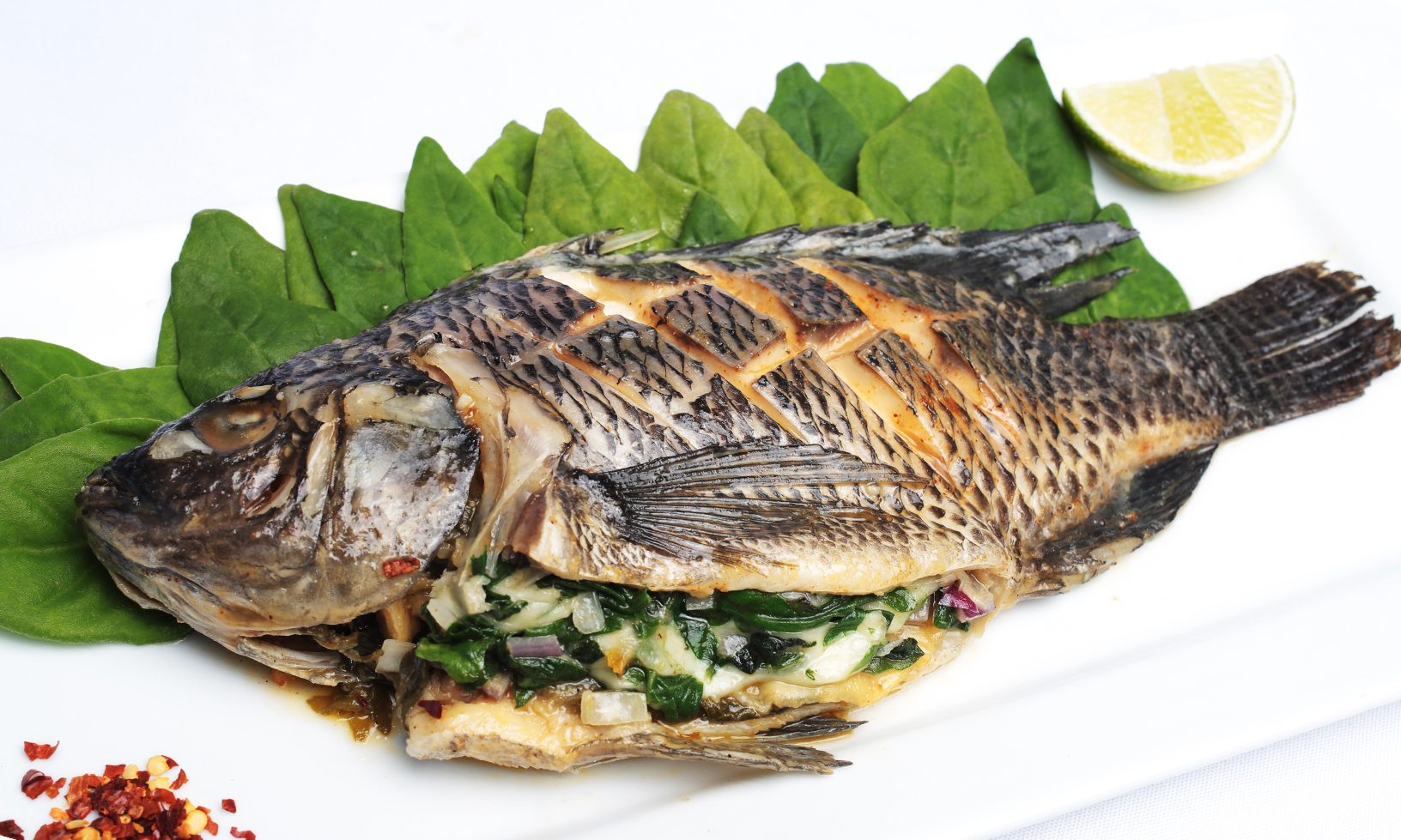 Mojarra entera rellena de Quesos y Espinaca | Regal Springs